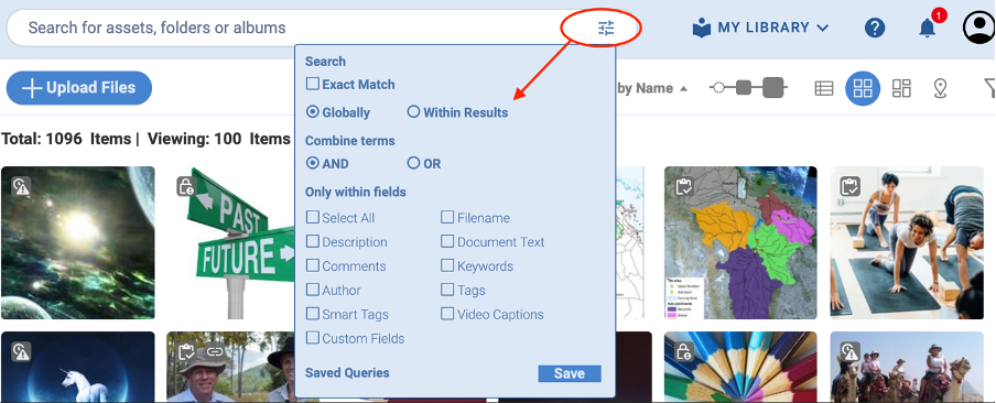 How Canto Search works?